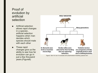 Anthropogenesis | PPTX