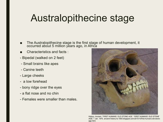Anthropogenesis | PPTX