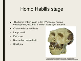 Anthropogenesis | PPTX