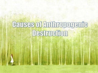 Anthropogenic Extinction | PPTX