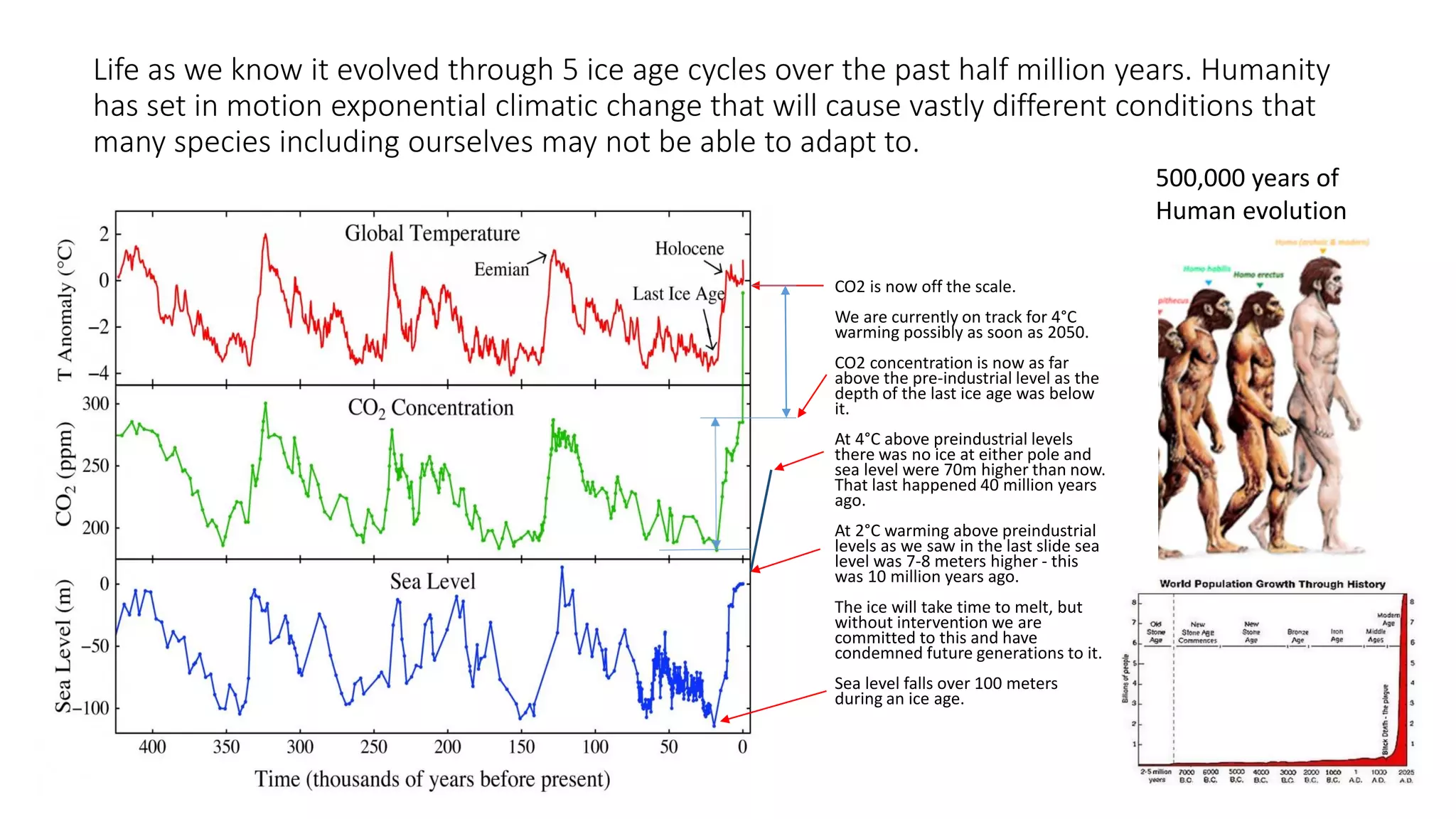 Anthropogenic Impact Cause, Effect and Cure | PPT