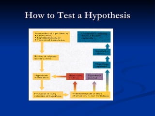 Anthropological Research and Theory | PPT