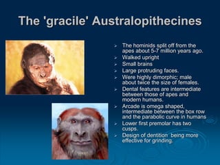 Anthropological concepts of clinical orthodontics | PPT