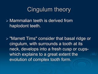 Anthropological concepts of clinical orthodontics | PPT