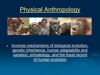 Anthropological concepts of clinical orthodontics | PPT