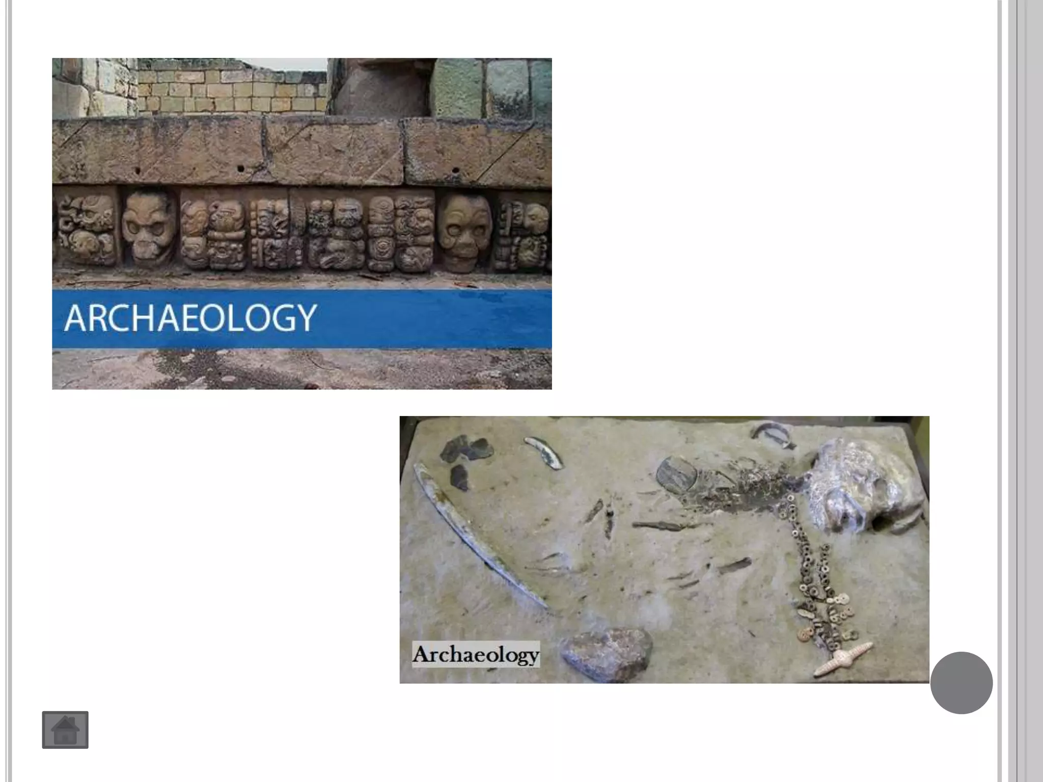 Anthropology | PPTX