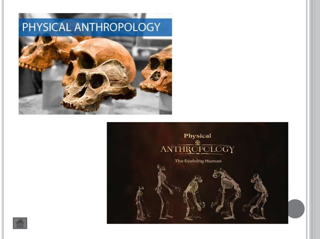 Anthropology | PPTX | Biological Sciences | Science