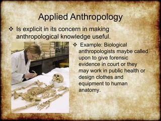 Anthropology | PPTX | Biological Sciences | Science