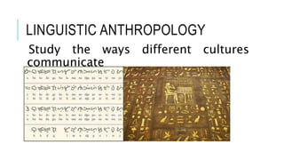ANTHROPOLOGY.pptx