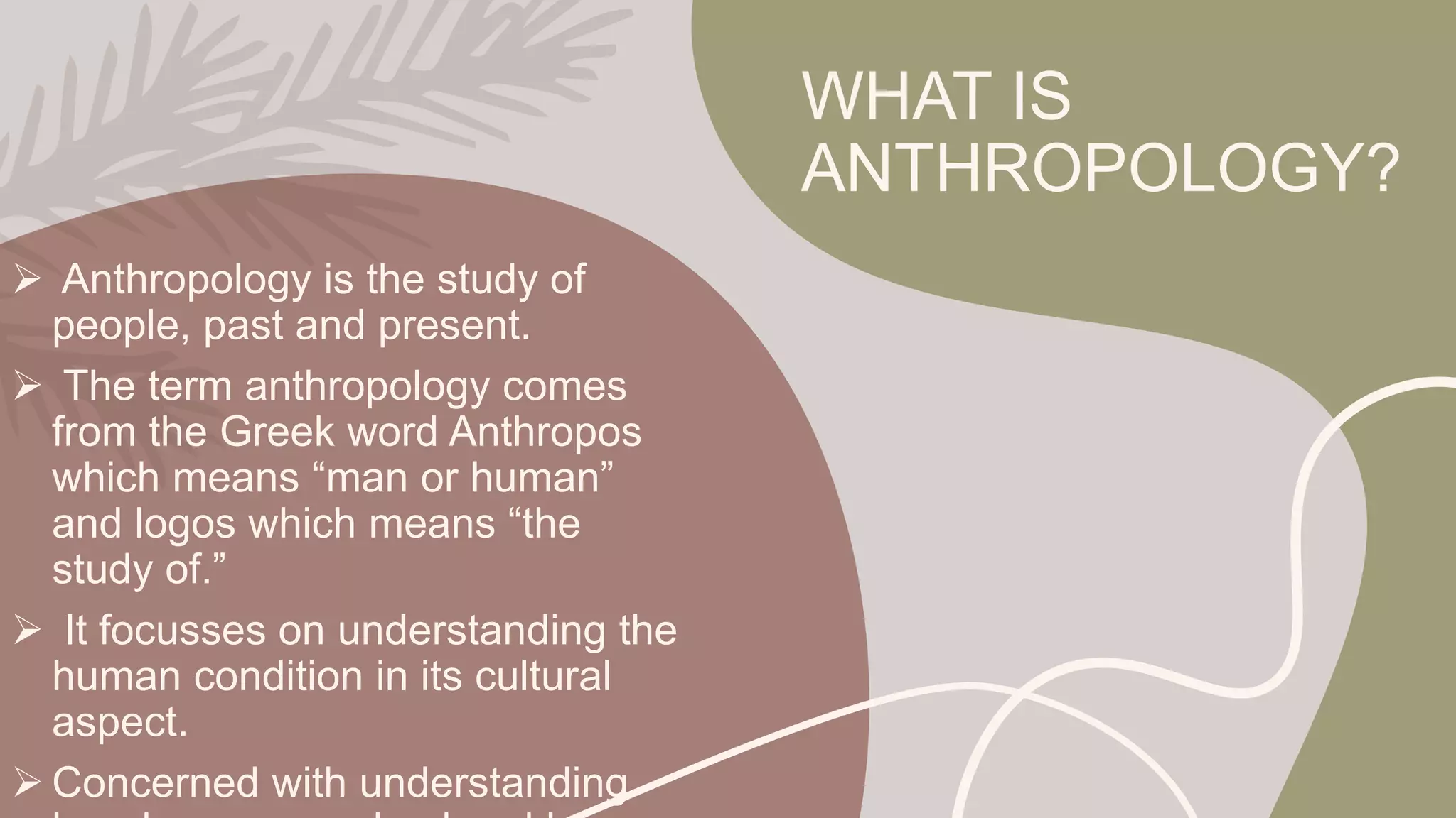 Anthropology (1).pptx