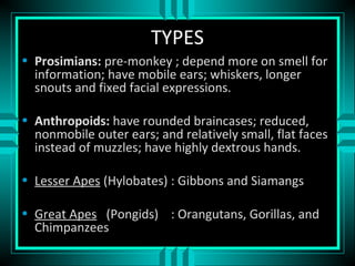Evolution, Primatology, Human Ancestry, Physical variation | PPT