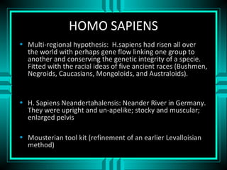Evolution, Primatology, Human Ancestry, Physical variation | PPT