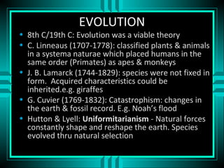 Evolution, Primatology, Human Ancestry, Physical variation | PPT
