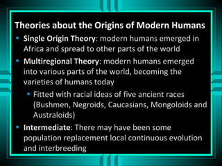 Evolution, Primatology, Human Ancestry, Physical variation | PPT