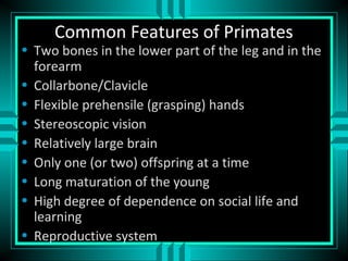 Evolution, Primatology, Human Ancestry, Physical variation | PPT