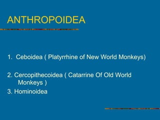 Anthropology and orthodontics | PPT