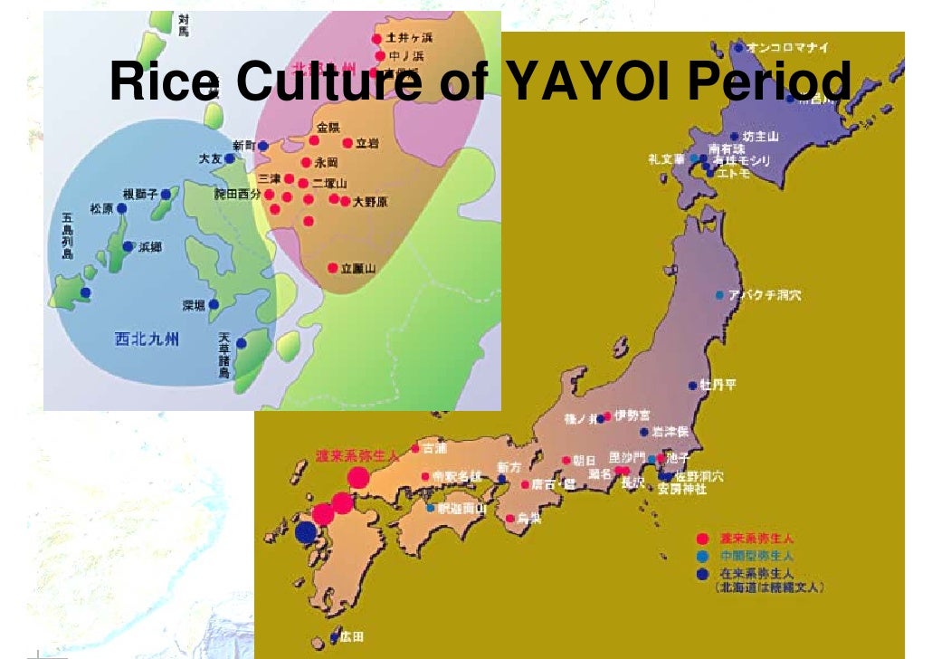 Anthropology in japan