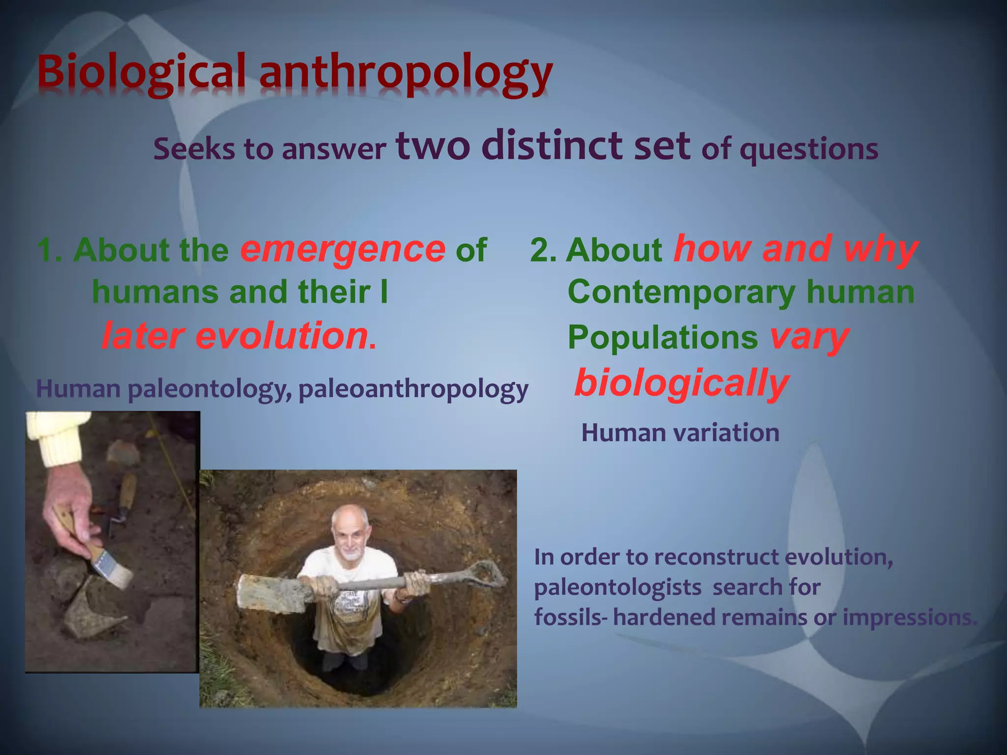 Anthropology power point slides | PPTX