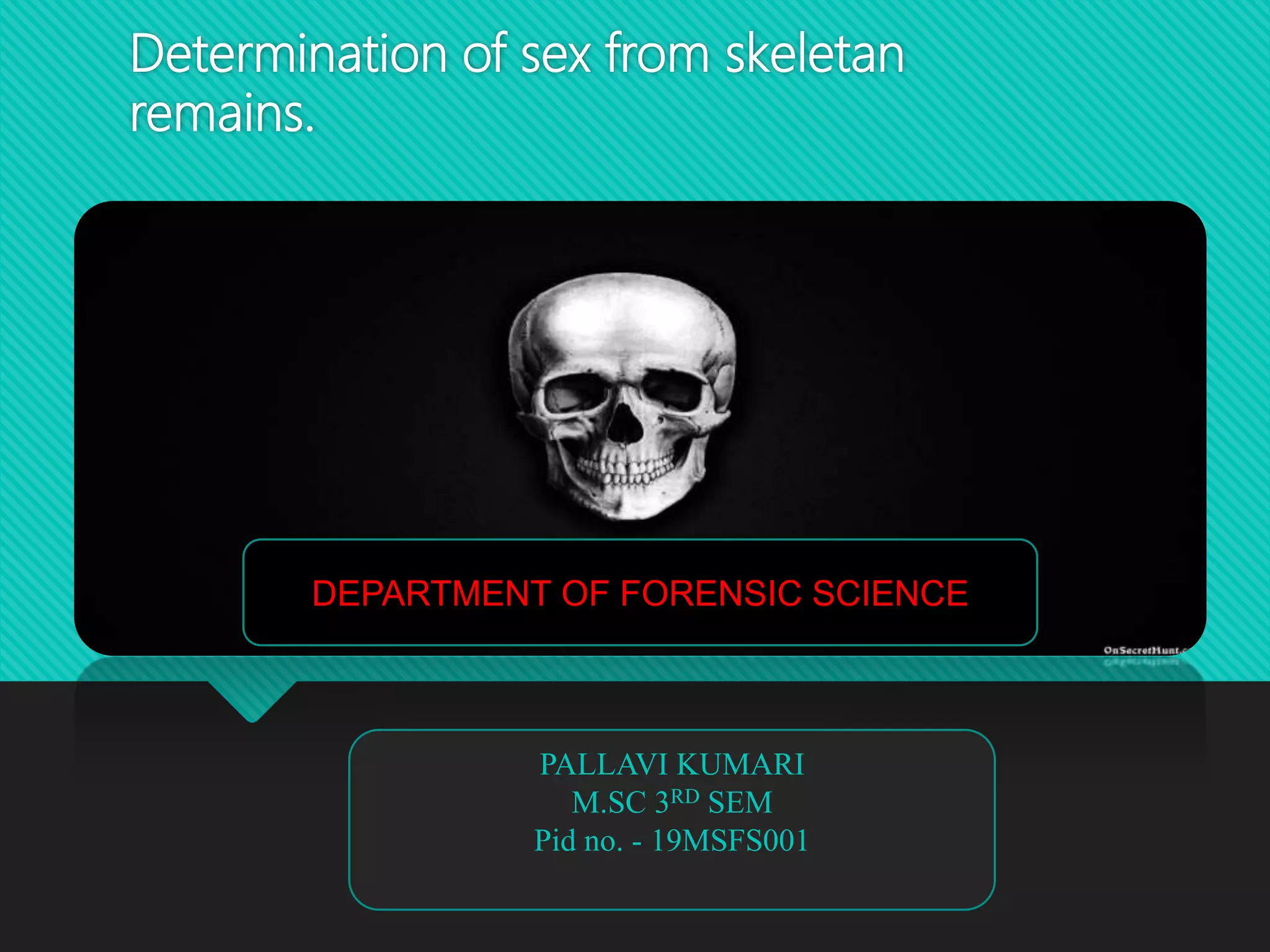 Determination of sex from skeletal remains | PPTX