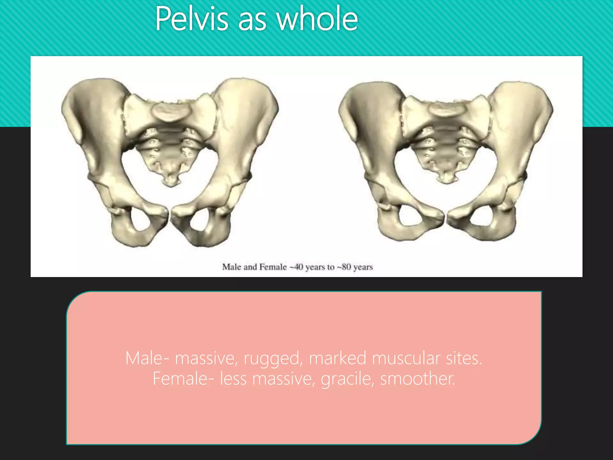 Determination of sex from skeletal remains | PPTX