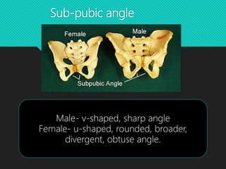 Determination of sex from skeletal remains | PPTX