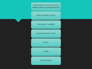 Determination of sex from skeletal remains | PPTX