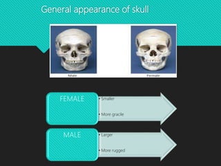 Determination of sex from skeletal remains | PPTX