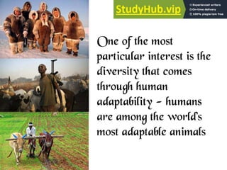 Anthropology The Exploration Of Human Diversity | PDF