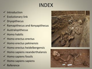 Anthropology | PPT
