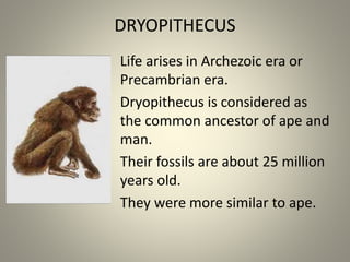 Anthropology | PPT