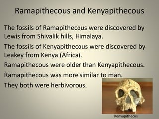 Anthropology | PPT