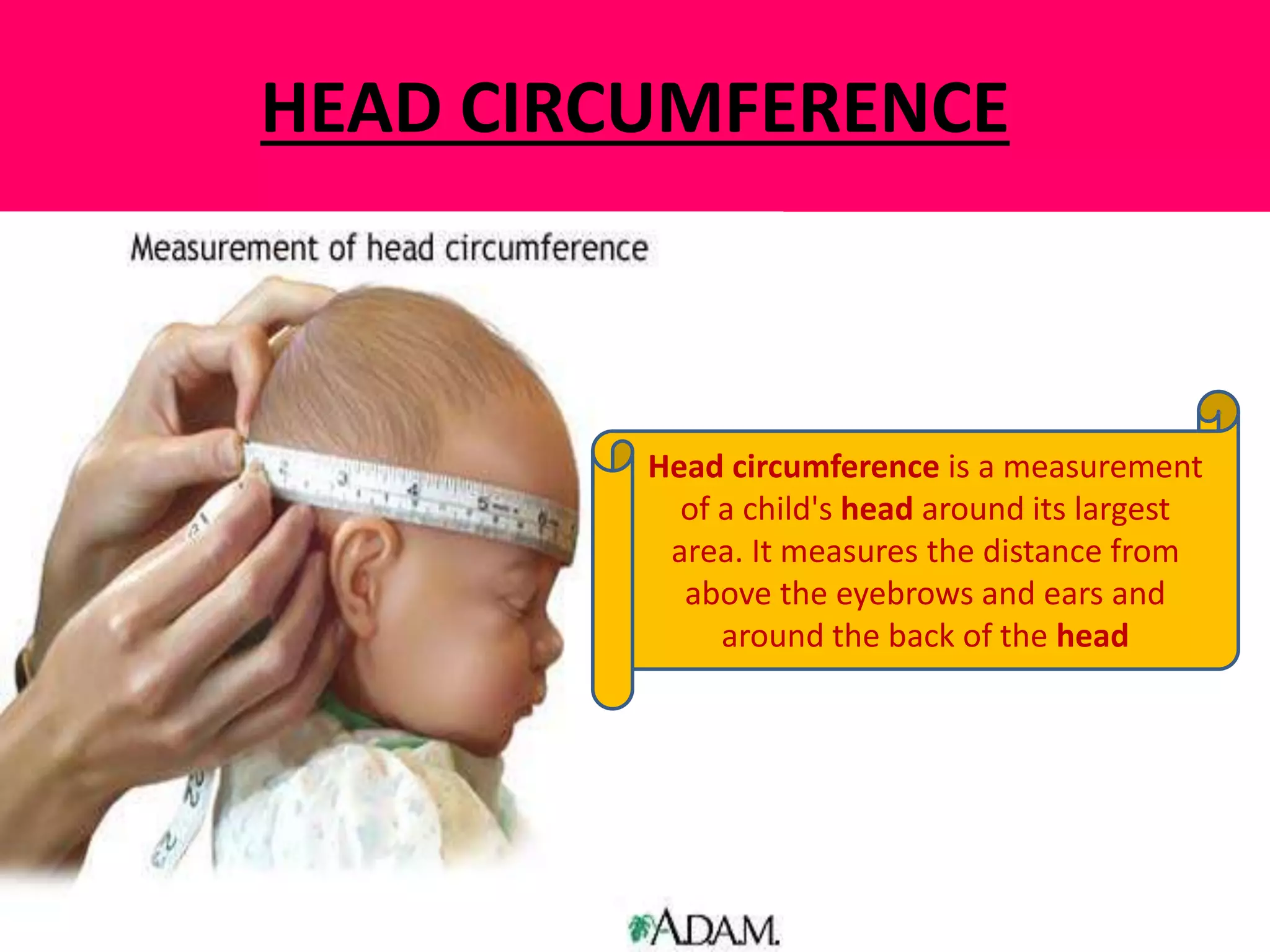 Anthropometric assessment | PPTX