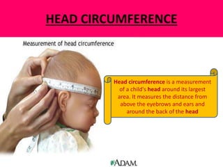 Anthropometric assessment | PPTX