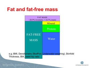 Anthropometric assessment of body composition | PPT