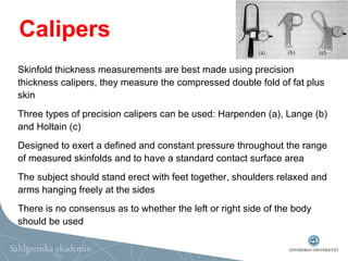 Anthropometric assessment of body composition | PPT