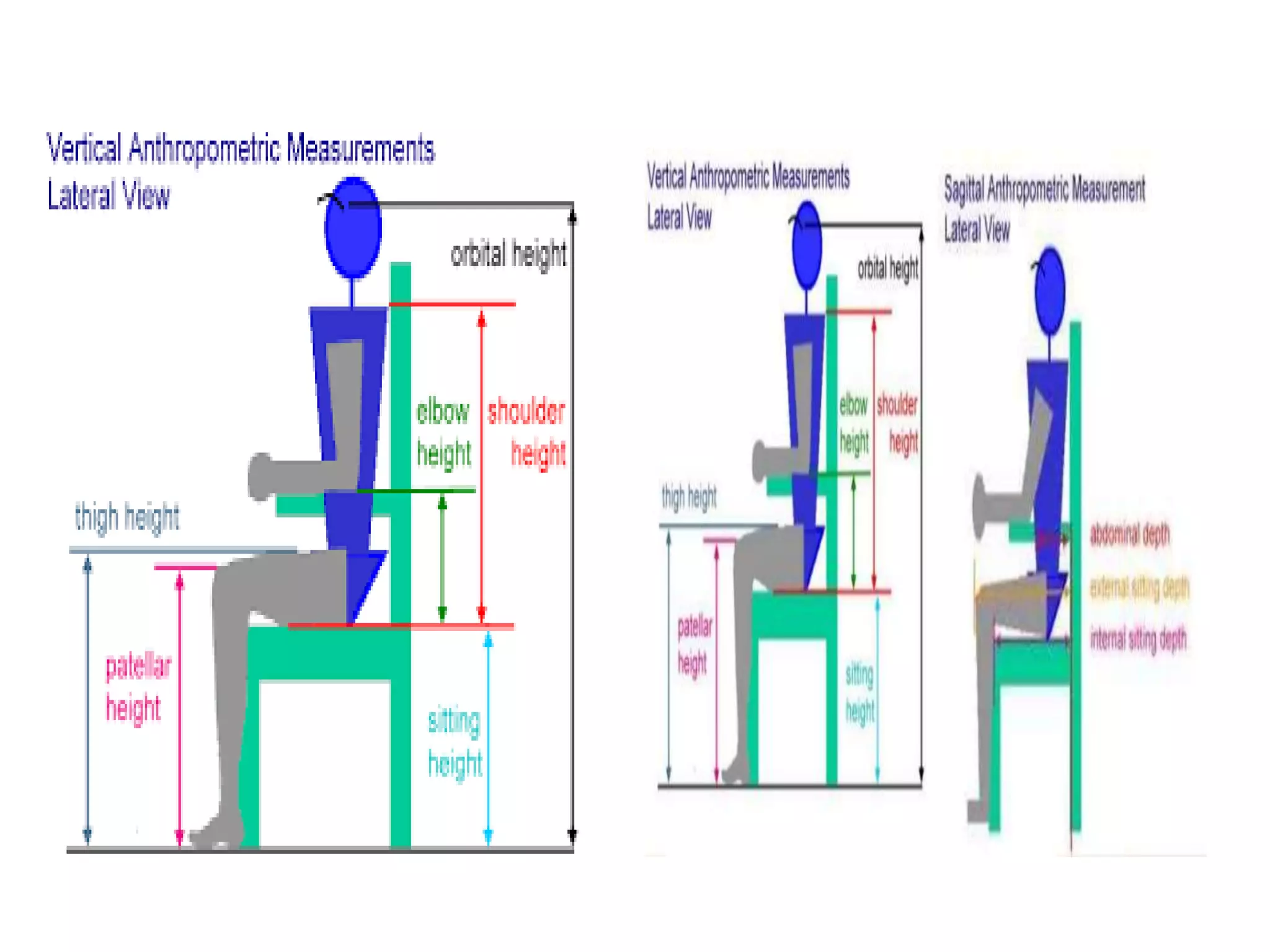 Anthropometric measurement.pptx