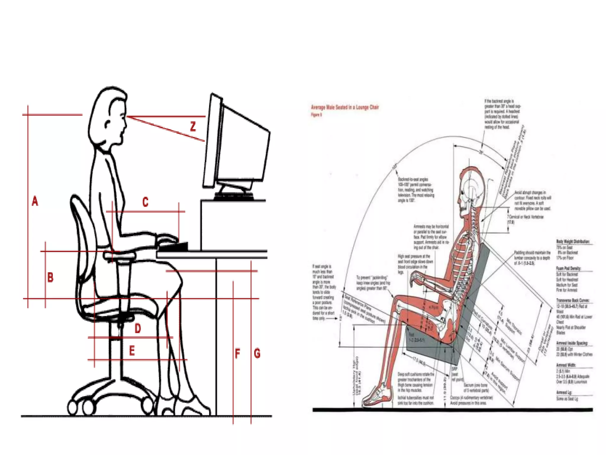Anthropometric measurement.pptx