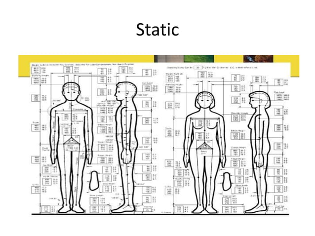 Anthropometric measurement.pptx