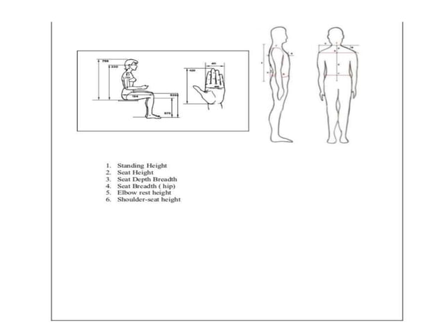 Anthropometric measurement.pptx