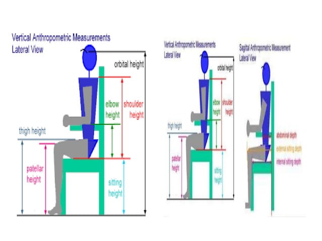 Anthropometric measurement.pptx