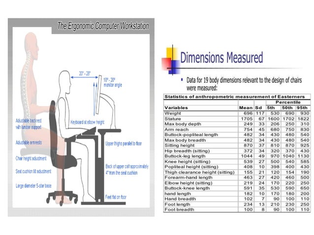 Anthropometric measurement.pptx
