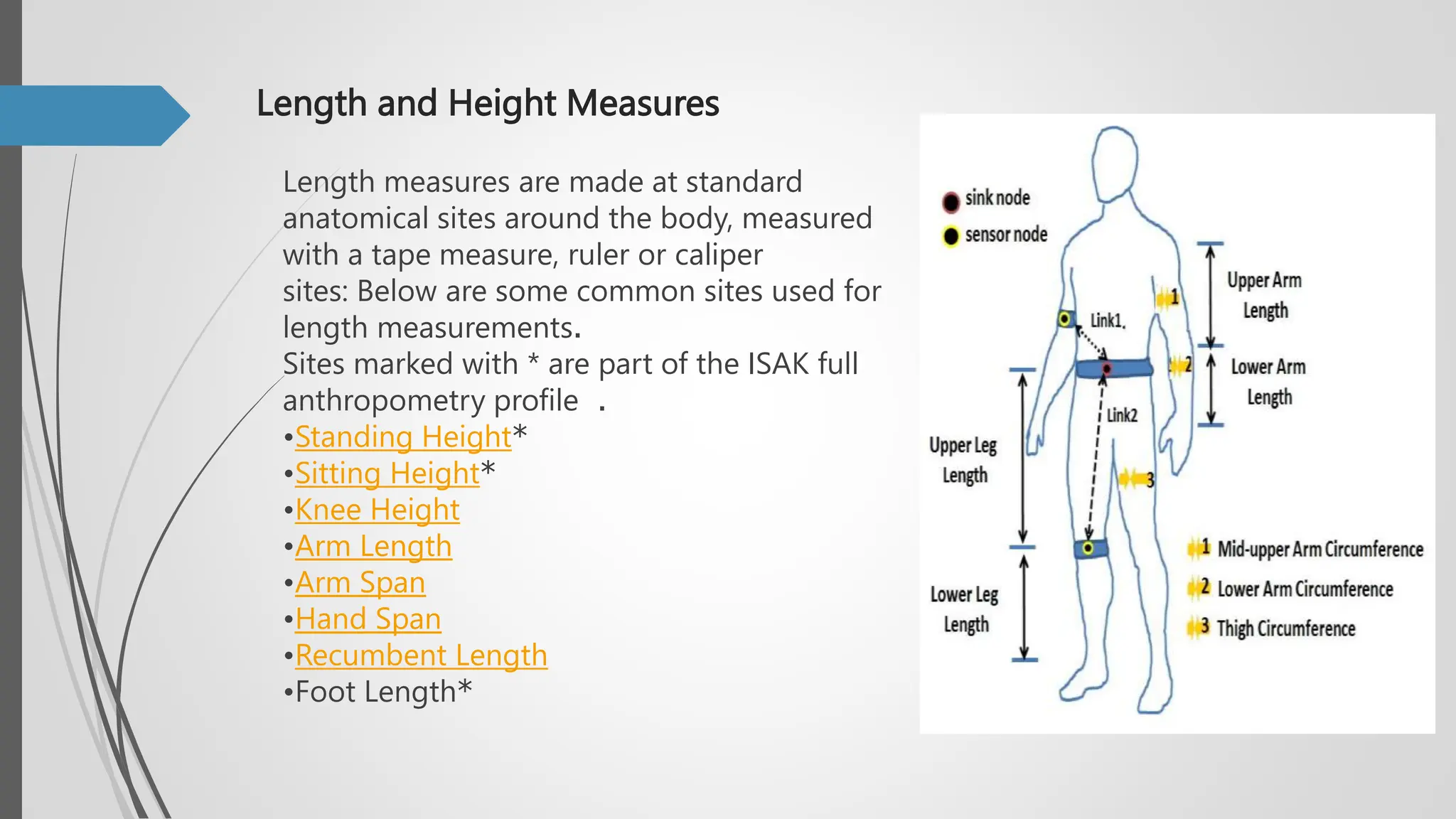 Anthropocentric Measurement in sport medicine | PPTX