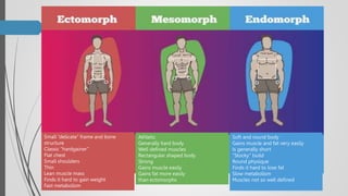 Anthropocentric Measurement in sport medicine | PPTX