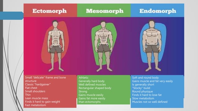 Anthropocentric Measurement in sport medicine | PPTX | Bodybuilding ...