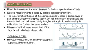 Anthropometric measurements adult and paediatrics | PPTX