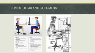 Anthropometrics and Ergonomics in Educational Spaces | PPTX