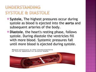 Anthropometric tests blood pressure session 5 | PPT