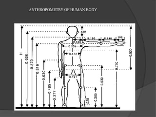 Anthropometry | PPTX