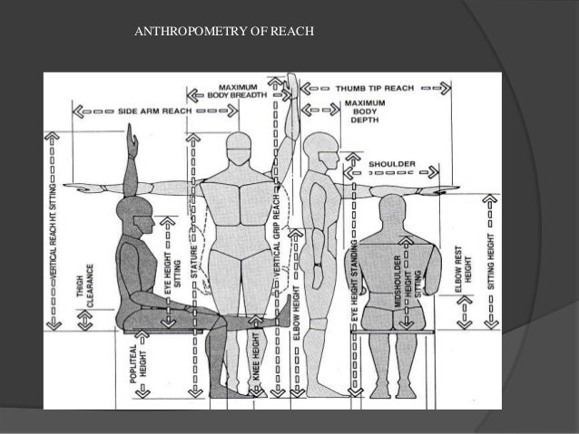 Anthropometry