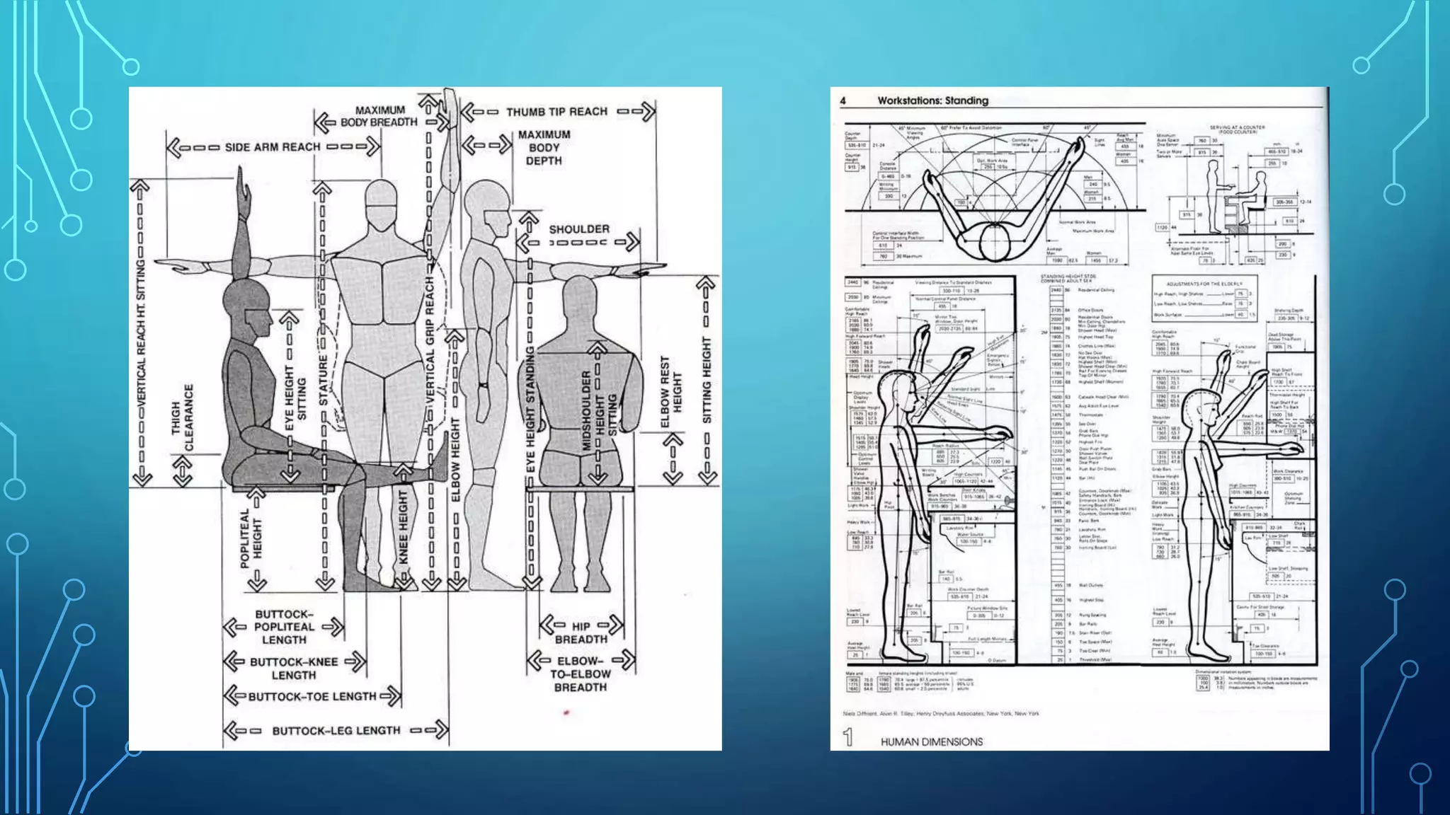 Anthropometry | PPTX